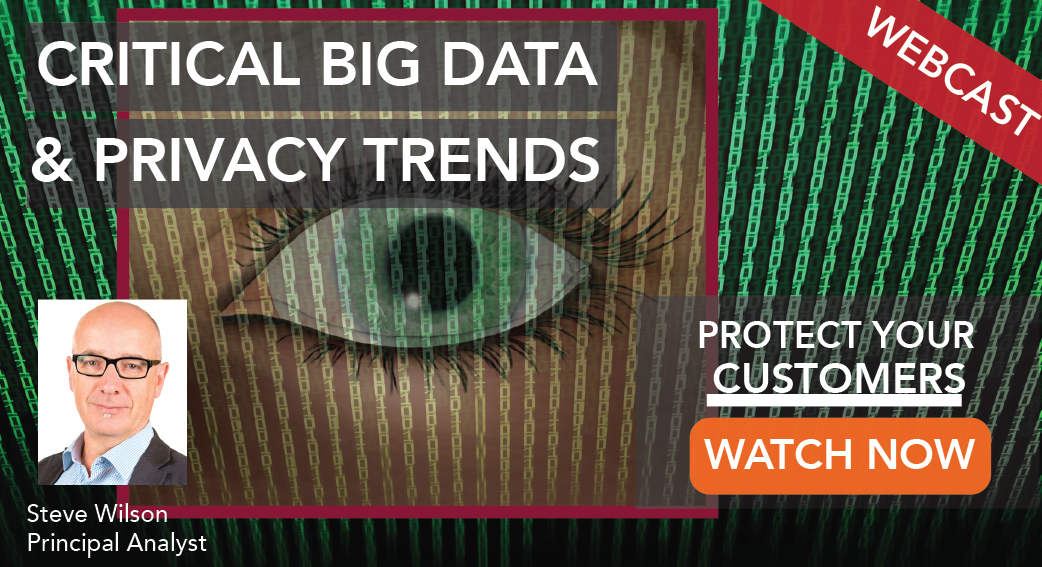 CEN Member Chat: Critical Big Data and Privacy Trends | Constellation ...